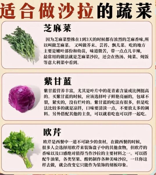 沙拉常用蔬菜有哪些_如何挑选更新鲜-第3张图片-山城妙识