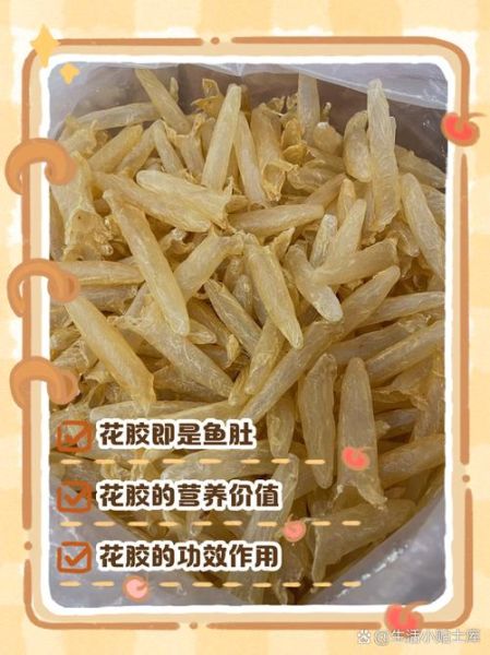 花胶肚怎么泡发_花胶肚图片真假辨别-第1张图片-山城妙识