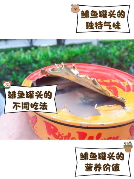 鲱鱼罐头为什么这么臭_鲱鱼罐头怎么吃才安全-第1张图片-山城妙识
