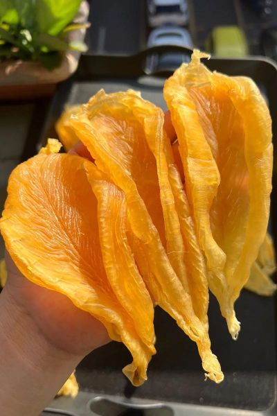 花胶肚怎么泡发_花胶肚图片真假辨别-第3张图片-山城妙识