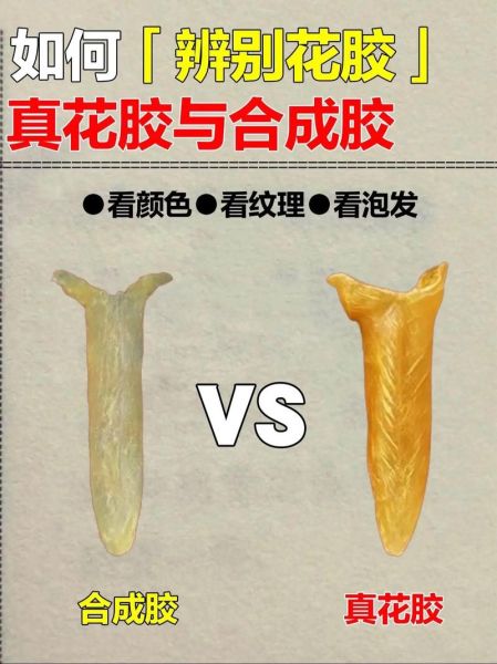 花胶肚怎么泡发_花胶肚图片真假辨别-第2张图片-山城妙识