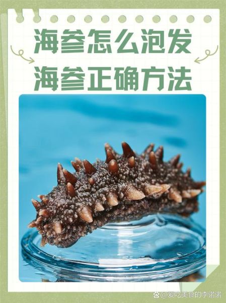 即食海参怎么泡发_即食海参怎么做好吃-第3张图片-山城妙识