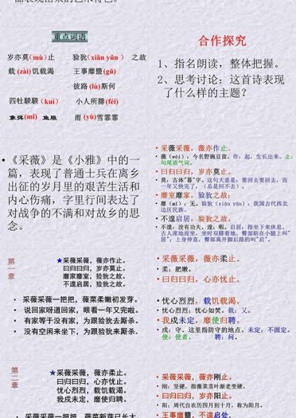 采薇翻译是什么_采薇翻译怎么用-第3张图片-山城妙识