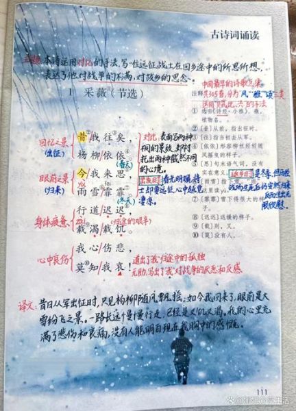 采薇翻译是什么_采薇翻译怎么用-第1张图片-山城妙识