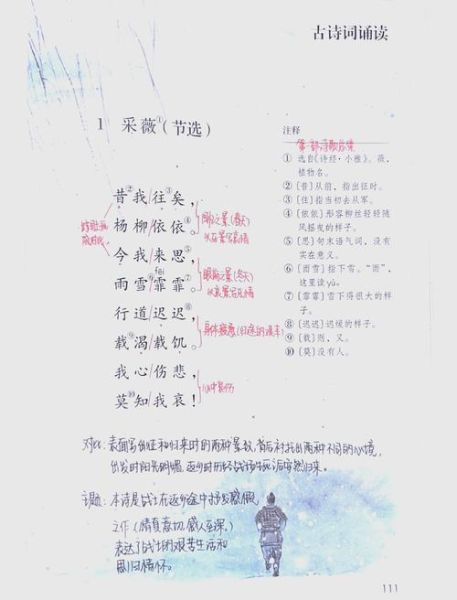 采薇翻译是什么_采薇翻译怎么用-第2张图片-山城妙识