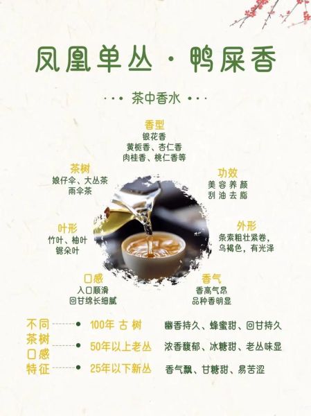 凤凰单丛茶的功效与作用_适合什么人喝-第2张图片-山城妙识