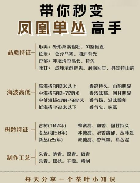凤凰单丛茶的功效与作用_适合什么人喝-第3张图片-山城妙识