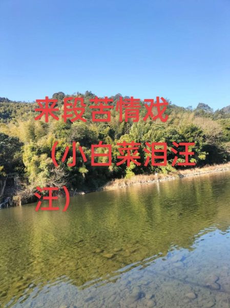 豫剧小白菜泪汪汪全集剧情_小白菜泪汪汪唱段赏析-第1张图片-山城妙识 豫剧小白菜泪汪汪全集剧情_小白菜泪汪汪唱段赏析-第1张图片-山城妙识