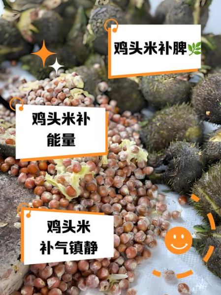 鸡头米的热量高吗_减肥能吃吗-第1张图片-山城妙识 鸡头米的热量高吗_减肥能吃吗-第1张图片-山城妙识