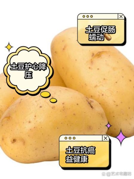 土豆的营养价值有哪些_土豆的功效与作用及禁忌-第3张图片-山城妙识