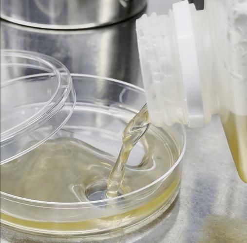 琼脂平板划线法步骤_如何避免污染-第3张图片-山城妙识 琼脂平板划线法步骤_如何避免污染-第3张图片-山城妙识