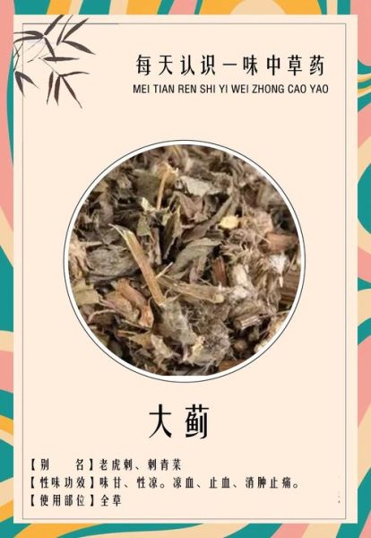 大蓟草的功效与作用_大蓟草能治什么病-第3张图片-山城妙识 大蓟草的功效与作用_大蓟草能治什么病-第3张图片-山城妙识