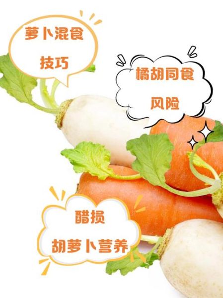胡萝卜不能和什么食物同食_胡萝卜与哪些食物相克-第1张图片-山城妙识 胡萝卜不能和什么食物同食_胡萝卜与哪些食物相克-第1张图片-山城妙识