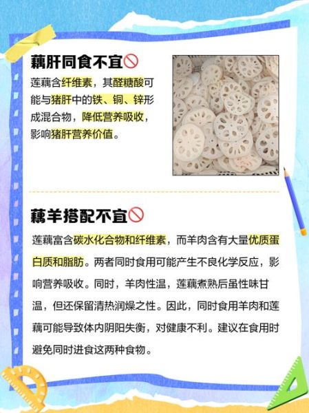 男人为什么不能吃藕_男人吃藕的坏处-第2张图片-山城妙识 男人为什么不能吃藕_男人吃藕的坏处-第2张图片-山城妙识