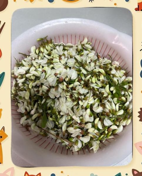 冻的洋槐花怎么做好吃_冻洋槐花做法大全-第2张图片-山城妙识