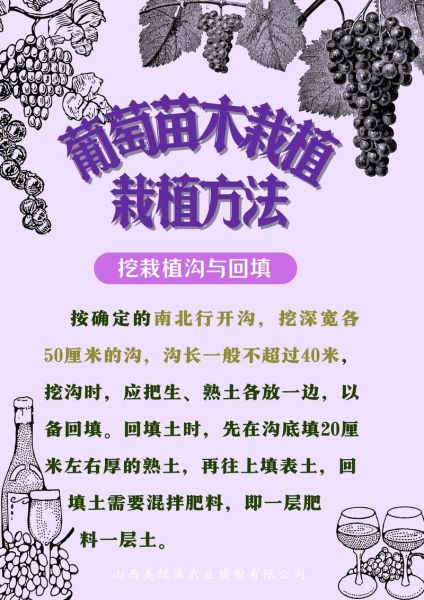 葡萄种植技术_如何提高葡萄甜度-第2张图片-山城妙识 葡萄种植技术_如何提高葡萄甜度-第2张图片-山城妙识