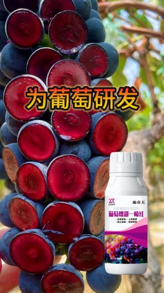 葡萄种植技术_如何提高葡萄甜度-第3张图片-山城妙识 葡萄种植技术_如何提高葡萄甜度-第3张图片-山城妙识