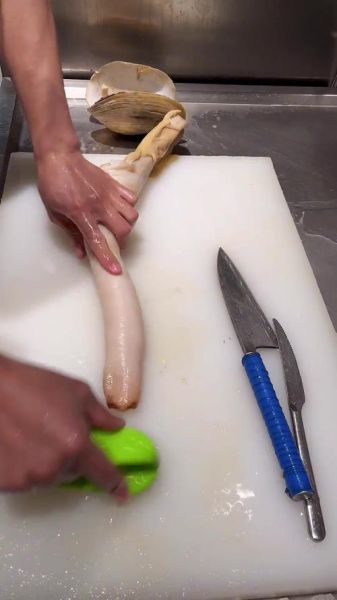 象拔蚌怎么杀_象拔蚌怎么处理干净-第2张图片-山城妙识 象拔蚌怎么杀_象拔蚌怎么处理干净-第2张图片-山城妙识