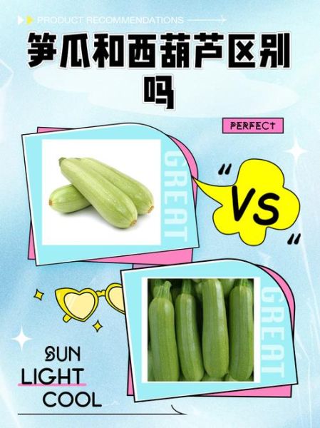 笋瓜怎么切_笋瓜切丝还是切片-第2张图片-山城妙识