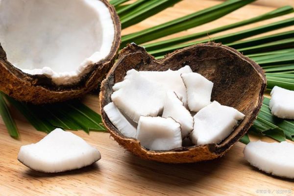 椰肉怎么做好吃_椰肉的做法大全-第3张图片-山城妙识 椰肉怎么做好吃_椰肉的做法大全-第3张图片-山城妙识