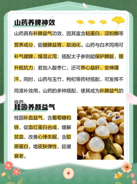 男人气虚吃什么补得快_气虚食补最快方法-第1张图片-山城妙识 男人气虚吃什么补得快_气虚食补最快方法-第1张图片-山城妙识