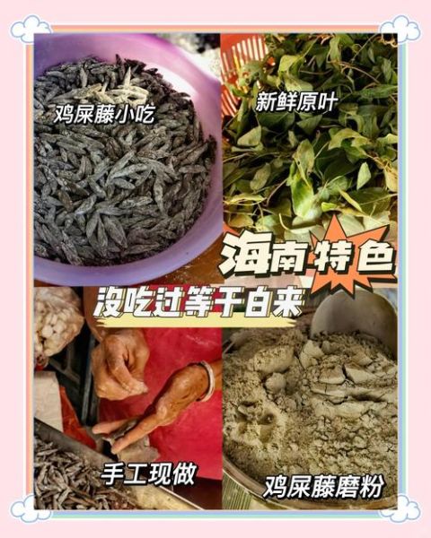 鸡屎藤糖水怎么做_鸡屎藤糖水功效与禁忌-第2张图片-山城妙识