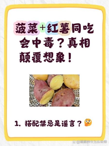 菠菜和胡萝卜能一起吃吗_营养冲突真相-第3张图片-山城妙识