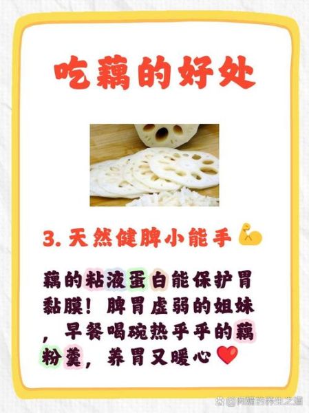 藕粉对女人有什么好处_女人吃藕粉能美容养颜吗-第3张图片-山城妙识