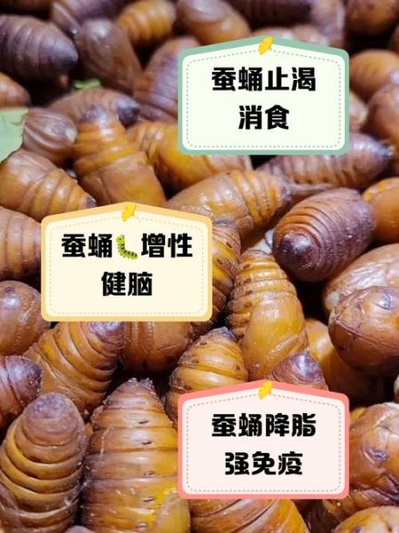 蚕蛹一天吃几个合适_蚕蛹吃多了会怎样-第3张图片-山城妙识