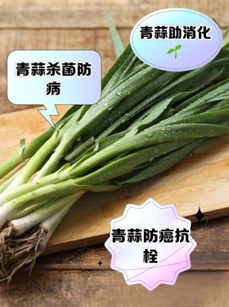 青蒜是什么季节的菜_青蒜几月份最好吃-第2张图片-山城妙识