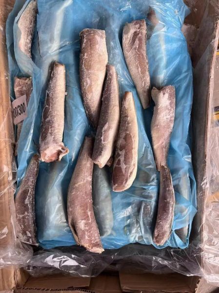 鳕鱼多少钱一斤_鳕鱼价格为什么差别大-第3张图片-山城妙识