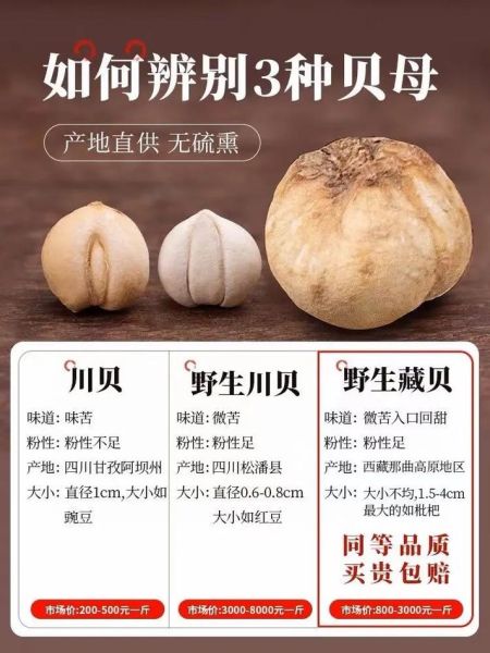 野生贝母一斤多少钱_如何辨别真假野生贝母-第1张图片-山城妙识