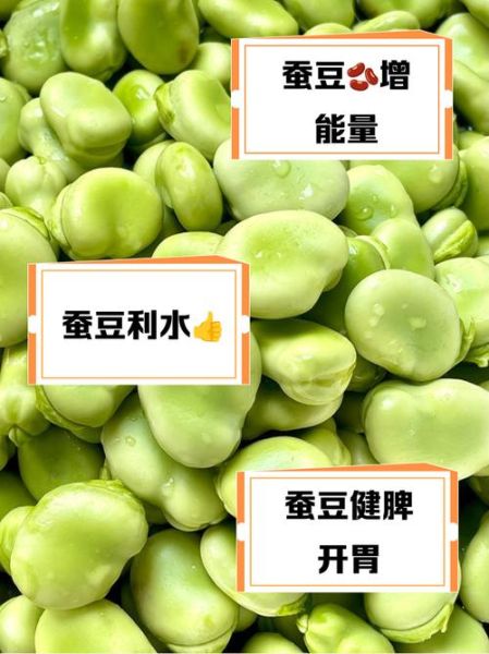 水煮蚕豆怎么煮才绿_水煮蚕豆要不要焯水-第3张图片-山城妙识