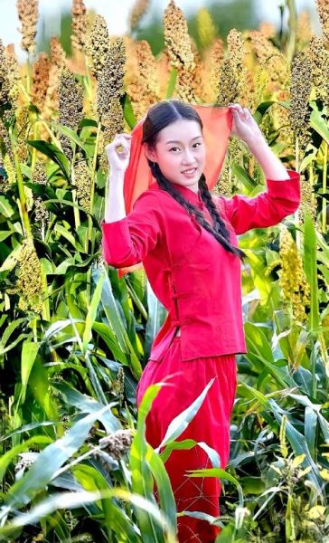 红高粱图片哪里找_红高粱图片高清下载-第2张图片-山城妙识