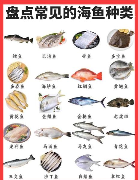 常吃海鱼图片大全大图_哪些海鱼适合天天吃-第1张图片-山城妙识 常吃海鱼图片大全大图_哪些海鱼适合天天吃-第1张图片-山城妙识