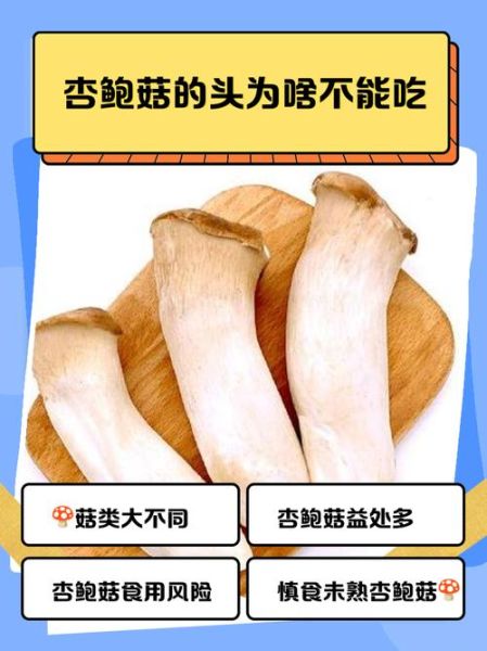 杏鲍菇的功效与禁忌_什么人不能吃-第1张图片-山城妙识