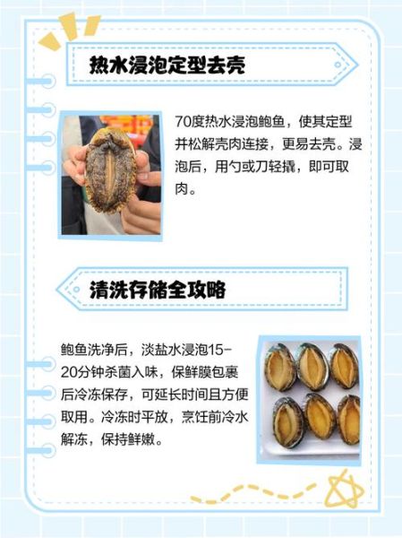 鲍鱼怎么洗最快最干净_鲍鱼清洗技巧-第3张图片-山城妙识