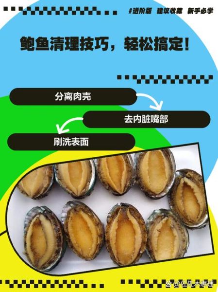 鲍鱼怎么洗最快最干净_鲍鱼清洗技巧-第2张图片-山城妙识