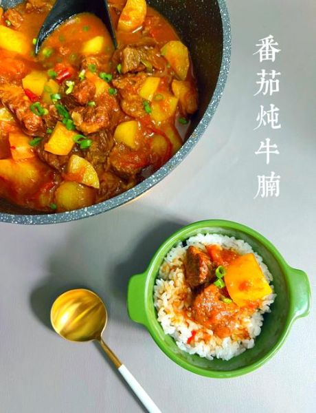 西红柿牛腩怎么做才好吃_西红柿牛腩最经典做法-第2张图片-山城妙识