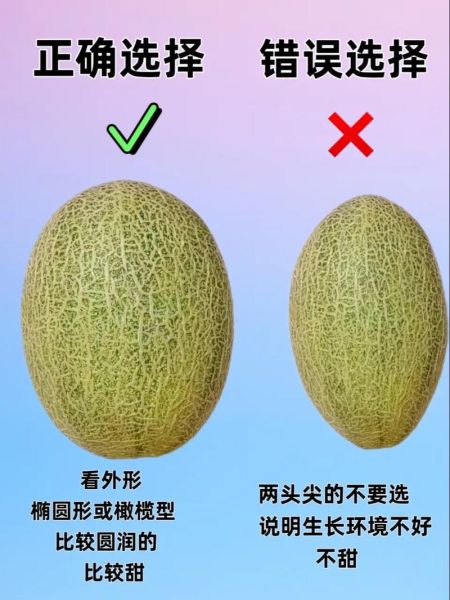 哈密瓜怎么挑选_哈密瓜保存多久-第1张图片-山城妙识