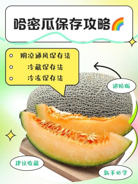 哈密瓜怎么挑选_哈密瓜保存多久-第2张图片-山城妙识