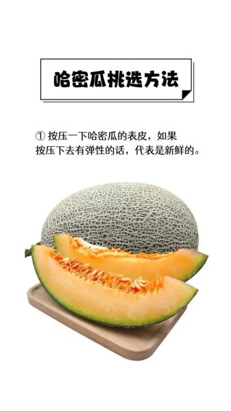 哈密瓜怎么挑选_哈密瓜保存多久-第3张图片-山城妙识