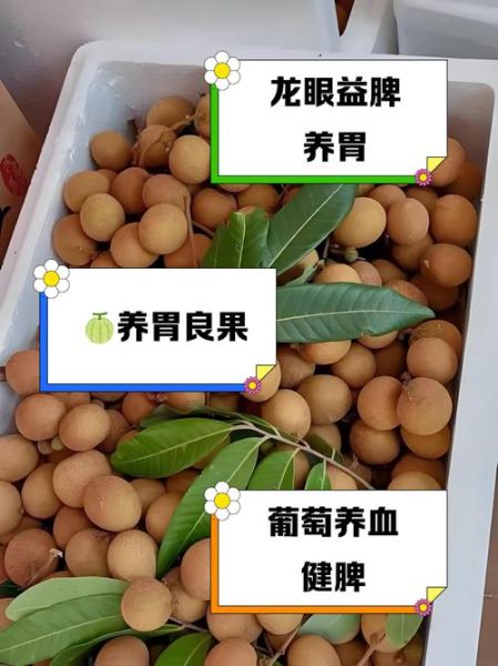 健胃养胃的水果有哪些_吃什么水果对胃好-第2张图片-山城妙识 健胃养胃的水果有哪些_吃什么水果对胃好-第2张图片-山城妙识