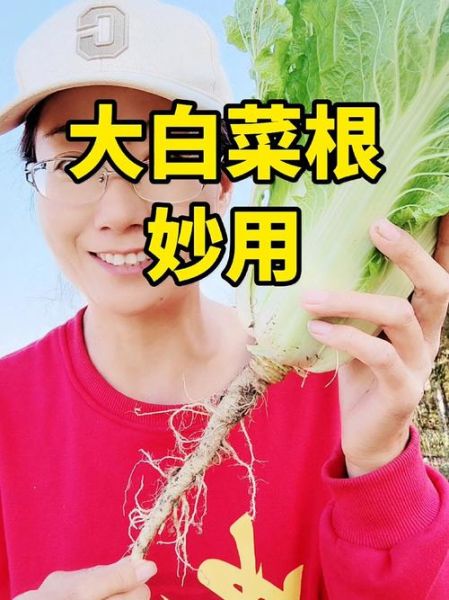 白菜根的功效与作用_白菜根的禁忌有哪些-第2张图片-山城妙识 白菜根的功效与作用_白菜根的禁忌有哪些-第2张图片-山城妙识