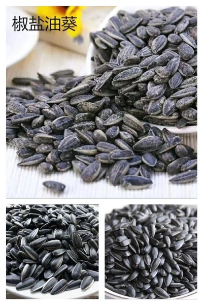 葵瓜子图片_怎么挑选优质葵瓜子-第1张图片-山城妙识