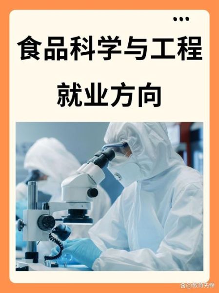 食品科学与工程专业就业前景怎么样_毕业后能做什么工作-第1张图片-山城妙识 食品科学与工程专业就业前景怎么样_毕业后能做什么工作-第1张图片-山城妙识