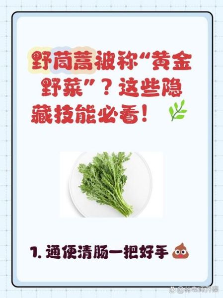 野茼蒿能吃吗_野茼蒿怎么吃-第3张图片-山城妙识 野茼蒿能吃吗_野茼蒿怎么吃-第3张图片-山城妙识