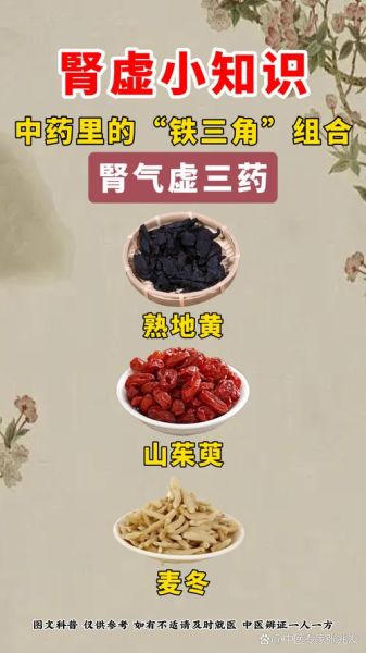 女性肾虚怎么调理_女人肾虚吃什么好-第1张图片-山城妙识