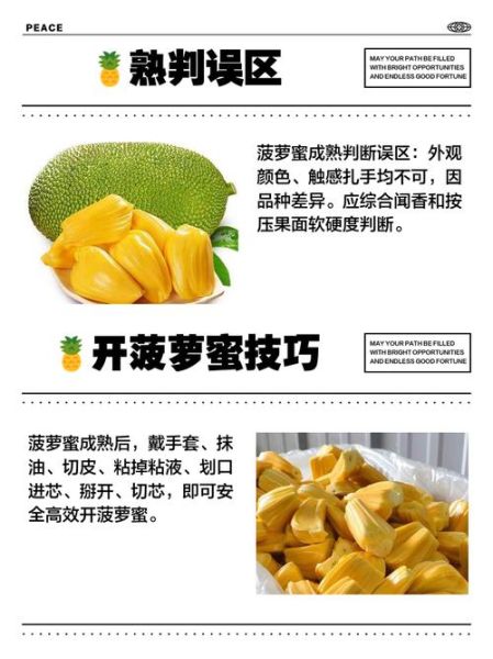 菠萝蜜国际通道2怎么开通_菠萝蜜国际通道2稳定吗-第2张图片-山城妙识