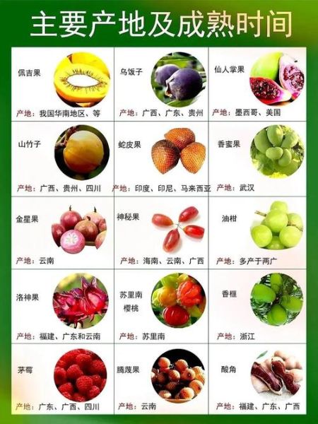 特殊水果图片名字大全_如何快速识别罕见水果-第1张图片-山城妙识